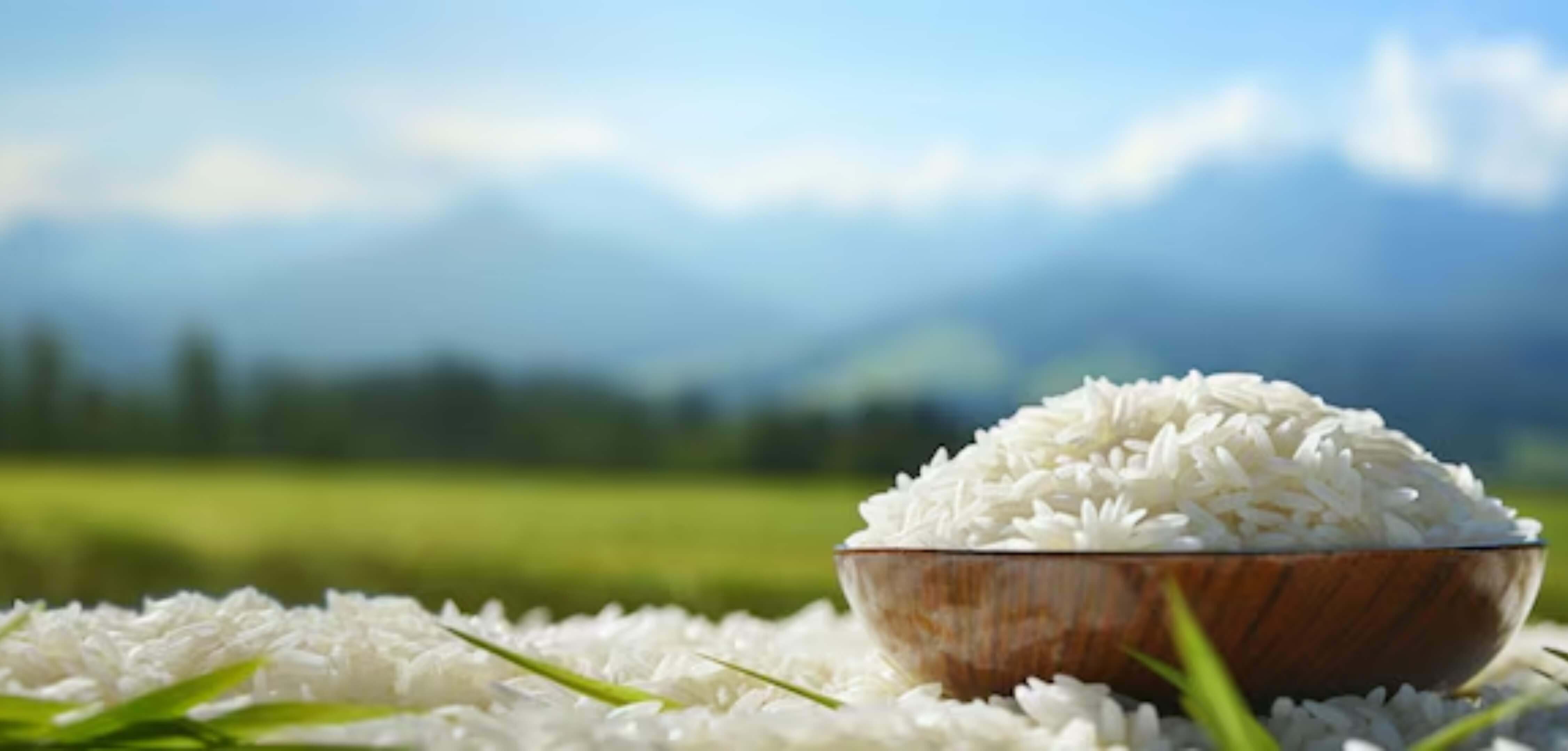 Jai Maruti Sri | World's largest Basmati Rice exporter